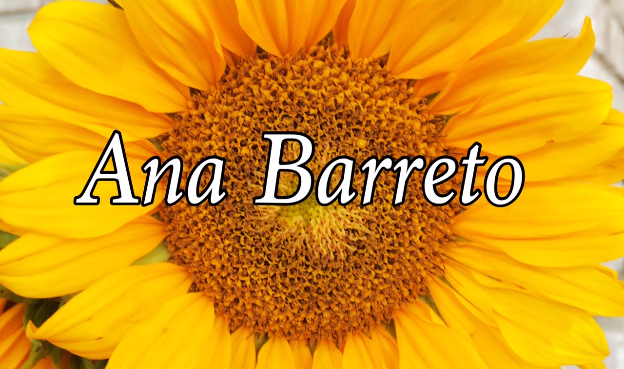image – Ana Barreto
